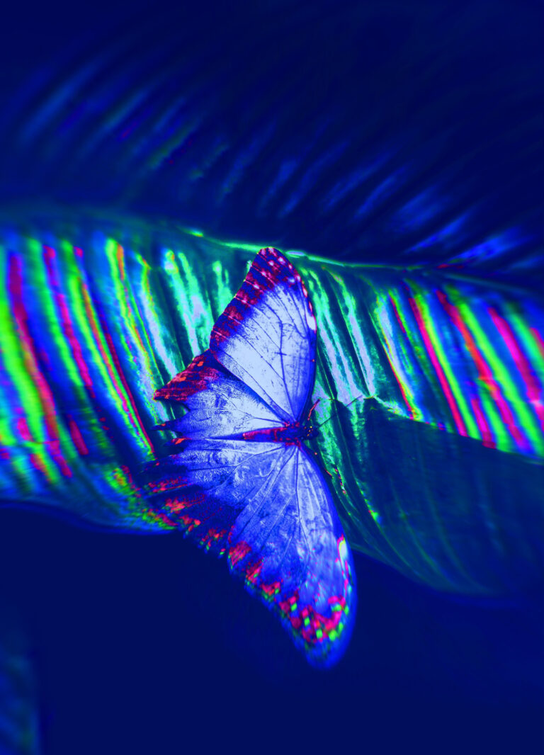 Unlocking the Transformative Power of Your 9 Personal Year in ...